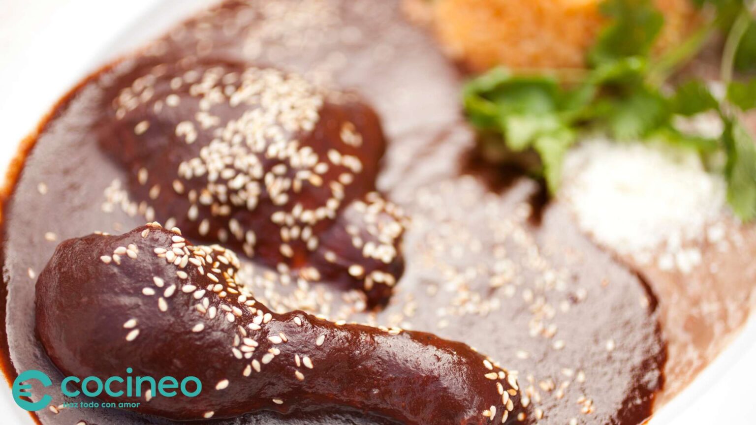 Receta Y Preparación De Mole Poblano – BERYSV